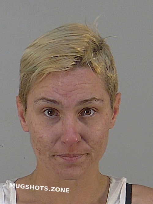ASHLEE MECHELE REIS 11/16/2024 - Lake County Mugshots Zone
