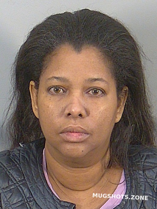 IDA J JONES 11/19/2024 - Lake County Mugshots Zone