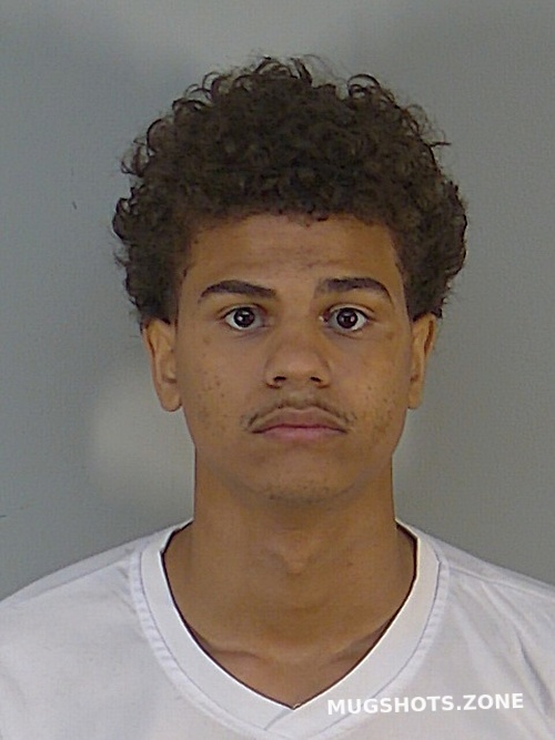 MALIK ANTWON BAKER 11/20/2024 - Lake County Mugshots Zone