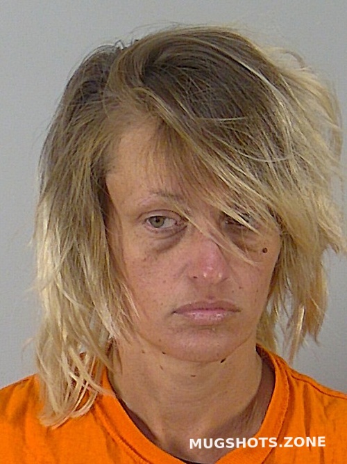 TABATHA ANN JOHNSON 11/21/2024 - Lake County Mugshots Zone