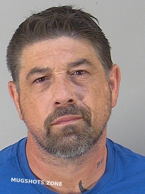 CHRISTOPHER ALLEN BRIGGS 11/22/2024 - Lake County Mugshots Zone