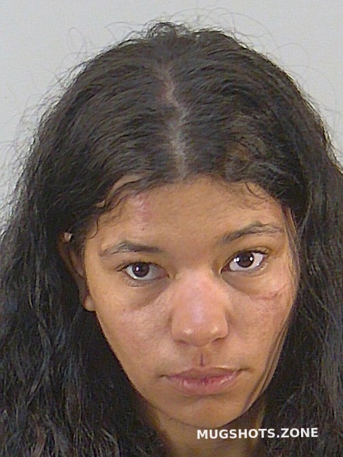 MARY JOY COLLINS 11/24/2024 - Lake County Mugshots Zone