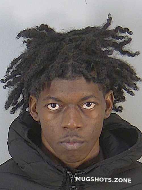 DEVON PRINCE 11/29/2024 - Lake County Mugshots Zone