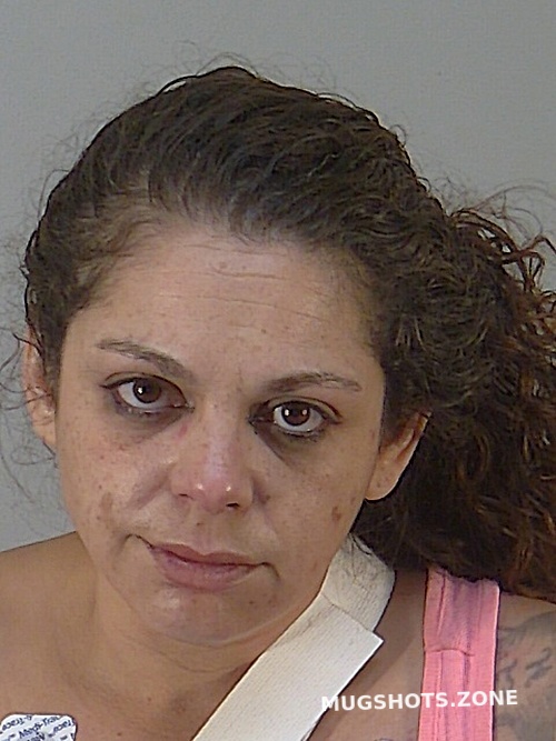 JESSICA LEE IRIZARRY 11/29/2024 - Lake County Mugshots Zone