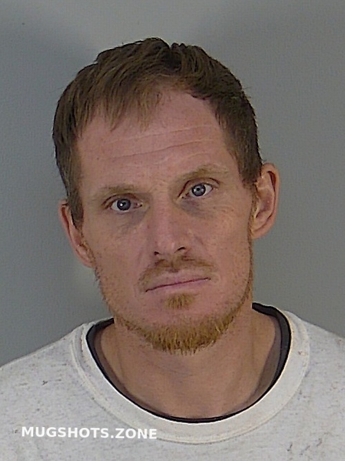 SETH THOMAS SNYDER 11/30/2024 - Lake County Mugshots Zone