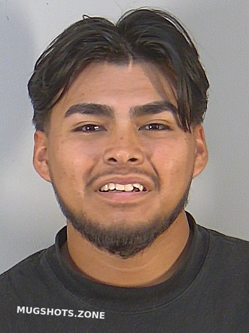 DAVID RESENDIZ 01/02/2025 - Lake County Mugshots Zone