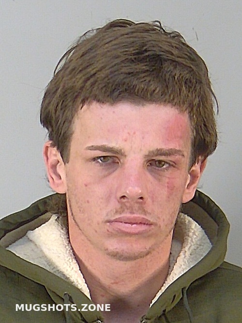 DYLAN MATTHEW BROW MCHALE 01/04/2025 - Lake County Mugshots Zone