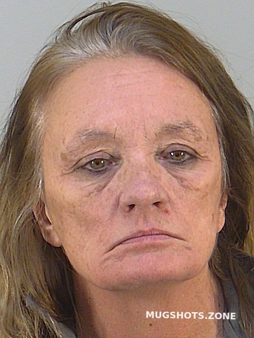 ERICA LYNN PARKER 01/04/2025 - Lake County Mugshots Zone