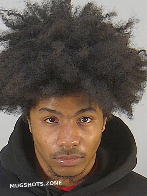 TORIEN HARP 01/13/2025 - Lake County Mugshots Zone