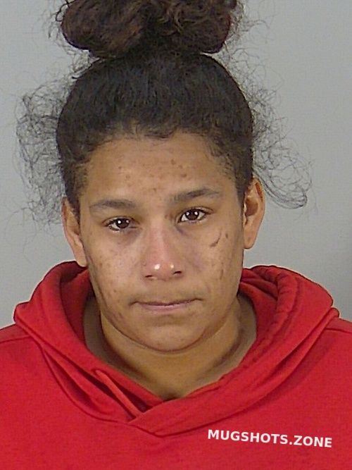 LIANA MARIA ALINE REETZ 01/15/2025 - Lake County Mugshots Zone