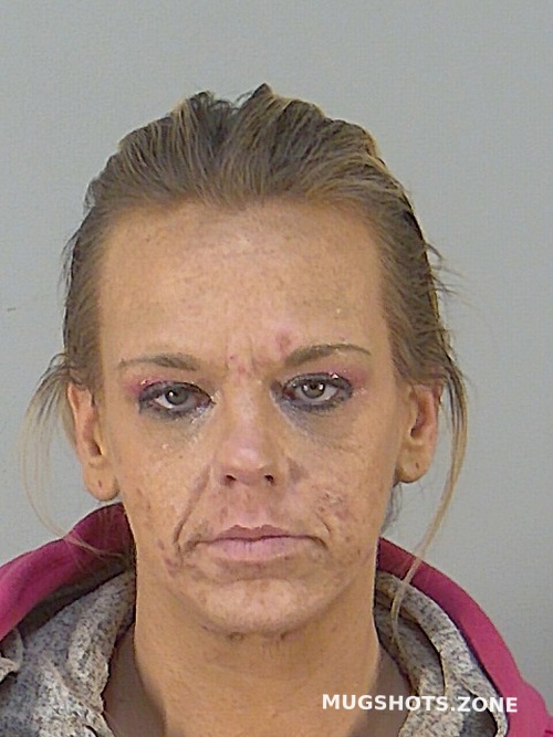 SARA MARIE TOBIN 01/16/2025 - Lake County Mugshots Zone