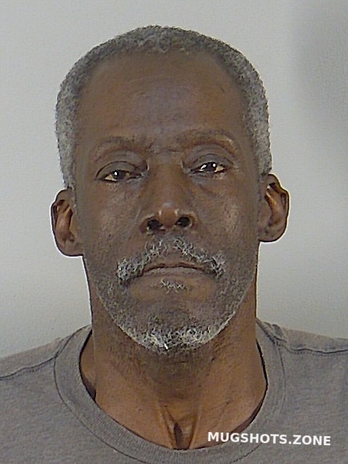 BRISTER ADDISON 01/17/2025 - Lake County Mugshots Zone