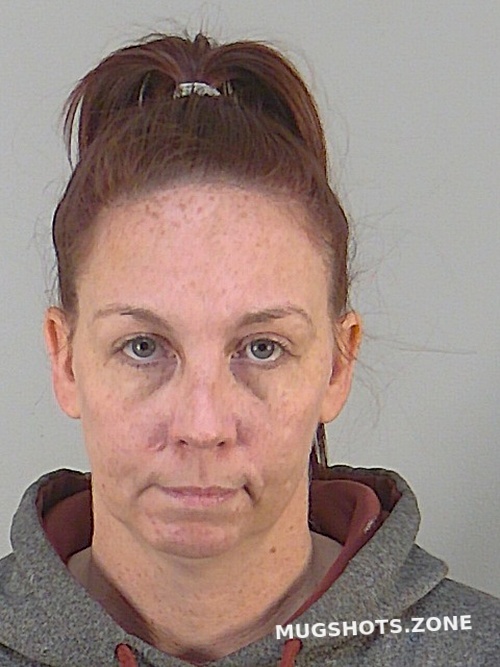JAMIE LYNN DENTINO 01/18/2025 - Lake County Mugshots Zone