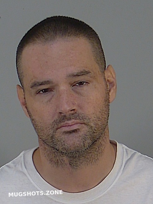 MICHAEL P LOGAN 01/29/2025 - Lake County Mugshots Zone