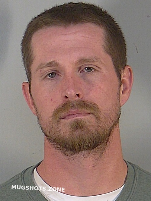 DRAKE AARON DAVIS 02/12/2025 - Lake County Mugshots Zone