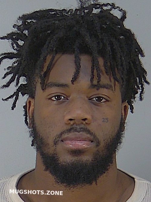 JOHN DARREL WILLIAMS 02/14/2025 - Lake County Mugshots Zone