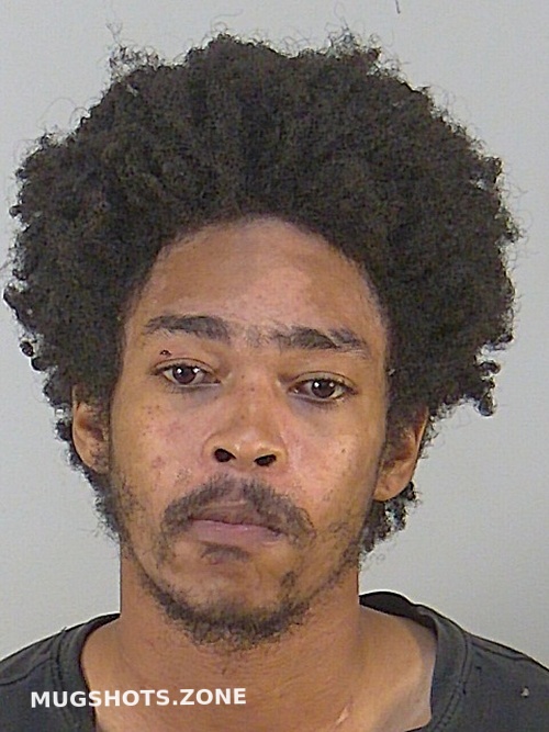 NICHOLAS JUSTIN PEREZ 02/16/2025 - Lake County Mugshots Zone