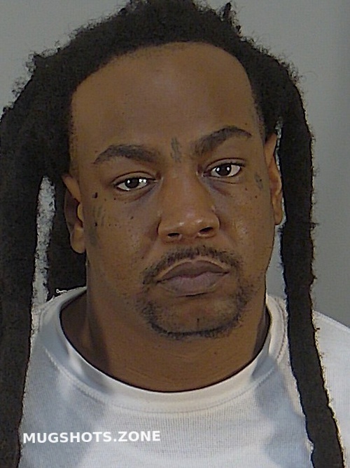 ERIC LEONARD MITCHELL 02/19/2025 - Lake County Mugshots Zone