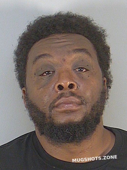 TERRANCE TERRELL BRANTLEY 02/20/2025 - Lake County Mugshots Zone