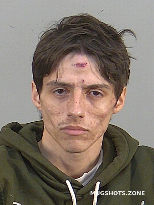 NICHOLAS RAMON RIOS 02/22/2025 - Lake County Mugshots Zone