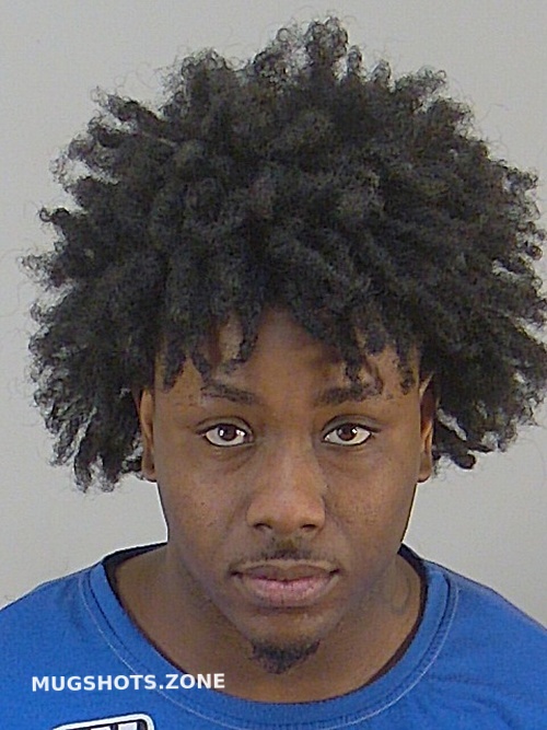 ISRAEL ARICE FIELDS 02/23/2025 - Lake County Mugshots Zone