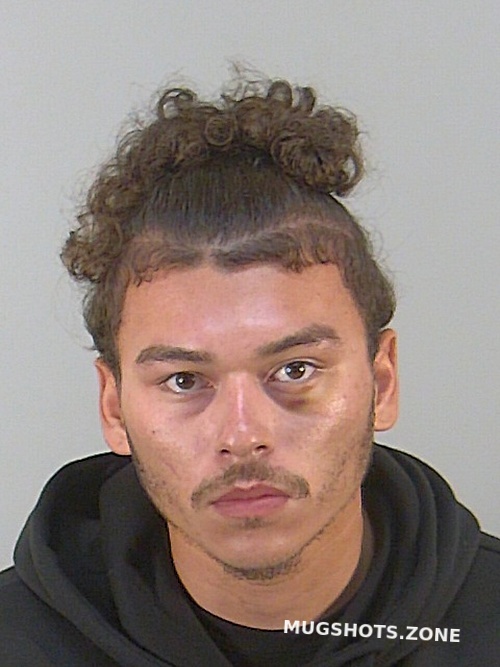 LUIS MANUEL RODRIGUEZ 03/10/2025 - Lake County Mugshots Zone