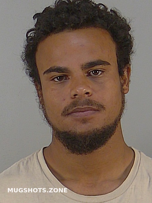 SEAN DALE PERRINE 03/19/2025 - Lake County Mugshots Zone