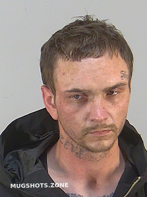 NICHOLAS CLIFTON DEME NELSON 03/20/2025 - Lake County Mugshots Zone