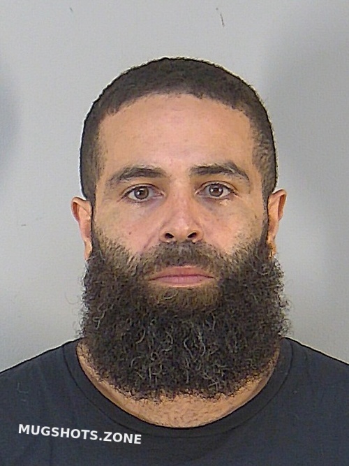RAMON IRIZARRY 03/20/2025 - Lake County Mugshots Zone