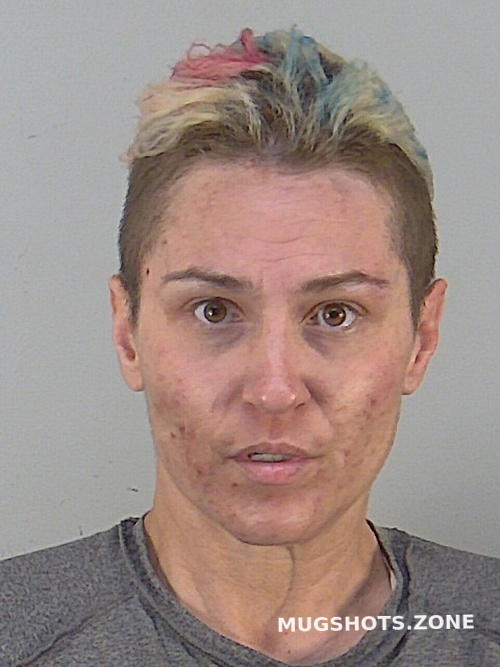 ASHLEE MECHELE REIS 03/28/2025 - Lake County Mugshots Zone
