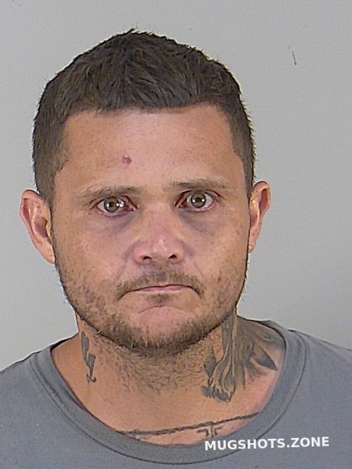 CHRISTOPHER LYNN SAPPINGTON 03/31/2025 - Lake County Mugshots Zone