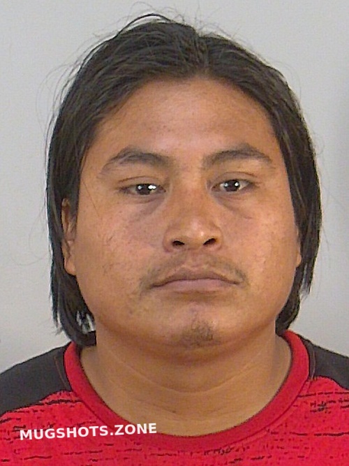 REYBEL GOMEZ DIAZ 04/02/2025 - Lake County Mugshots Zone