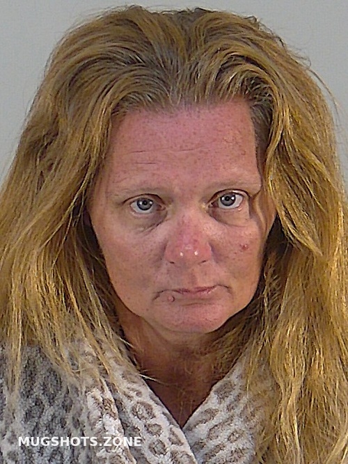 GYPSY DAWN HARPER 04/03/2025 - Lake County Mugshots Zone