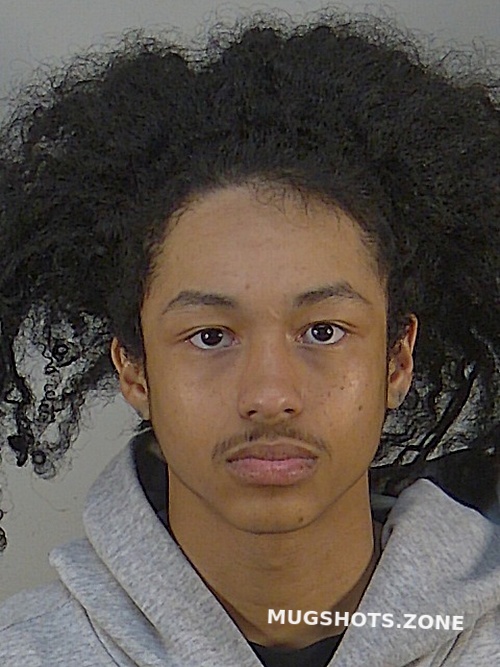 HAIRO MANUEL TORRES 04/08/2025 - Lake County Mugshots Zone