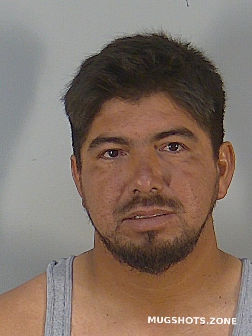 JOSE COLIN 04/12/2025 - Lake County Mugshots Zone
