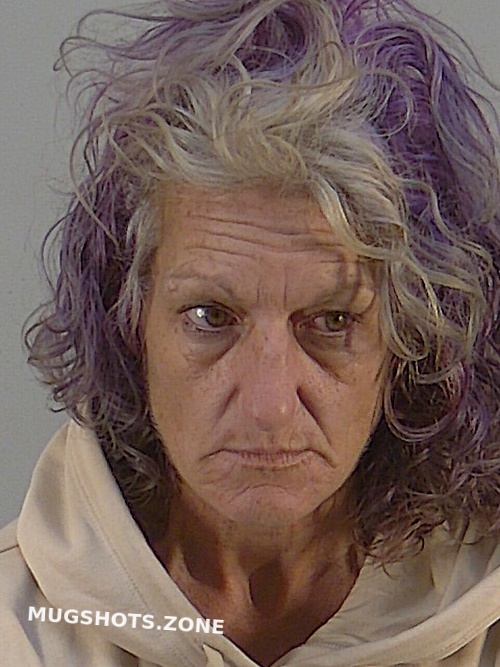 TRACY M TATRO 04/19/2025 - Lake County Mugshots Zone