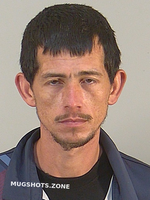 RICKY JUAN SANCHEZ 04/24/2025 - Lake County Mugshots Zone