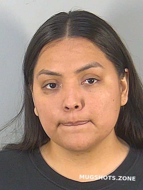 YESENIA ANDREA CELES BENAVIDES 04/28/2025 - Lake County Mugshots Zone
