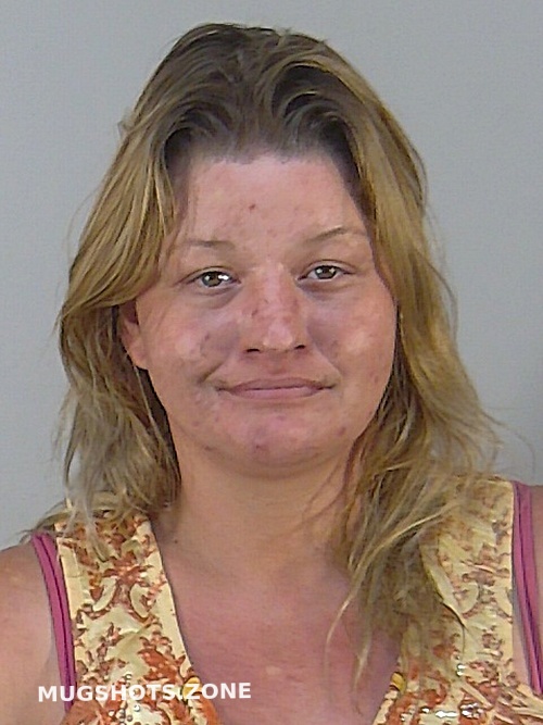 ASHLEY RENAE TYER 05/17/2025 - Lake County Mugshots Zone