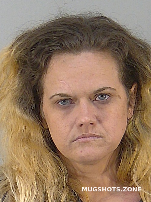 MISTI DAWN SIMONS 05/24/2025 - Lake County Mugshots Zone