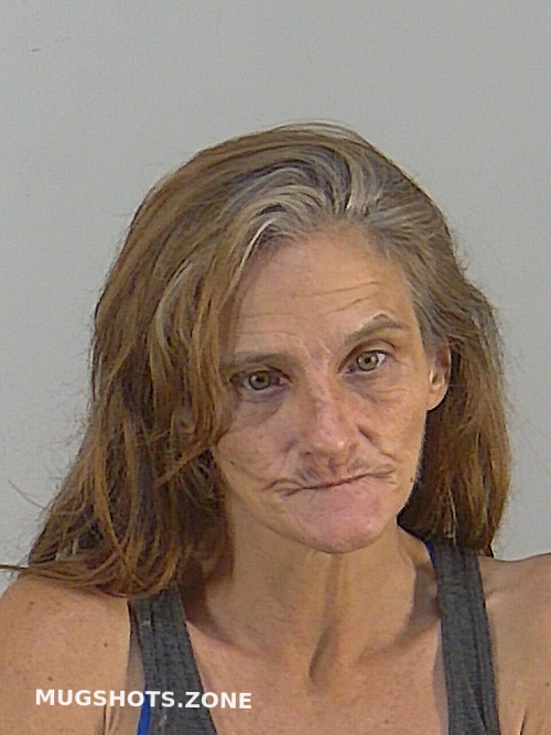 AMY LEA BOESE 06/06/2025 - Lake County Mugshots Zone