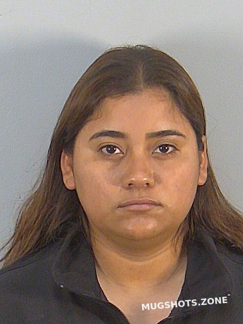 FLOR RAMIREZ 06/07/2025 - Lake County Mugshots Zone