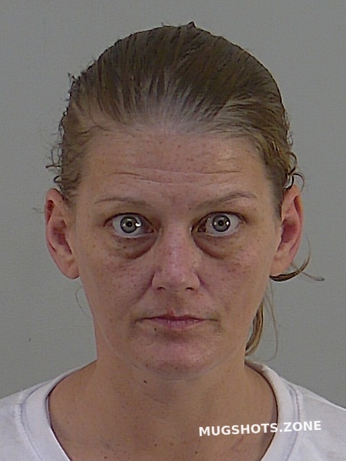 HEATHER RENEE JOHNSON 06/20/2025 - Lake County Mugshots Zone
