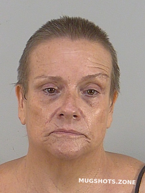 TINA MARIE KING 06/29/2025 - Lake County Mugshots Zone