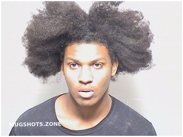 INGRAM REGINALD 12/06/2022 - Lake County Mugshots Zone