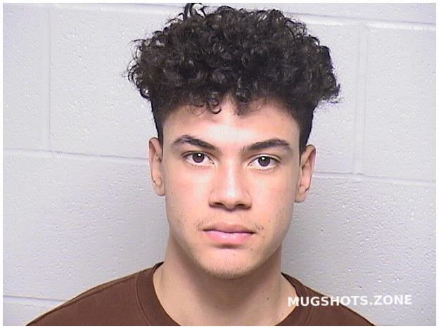 ROMAN EMMANUEL 02/16/2023 - Lake County Mugshots Zone