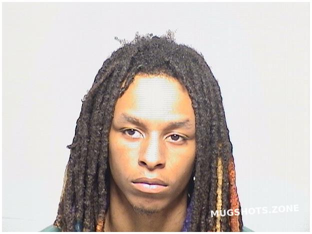 REED CHARON L 05/15/2023 - Lake County Mugshots Zone