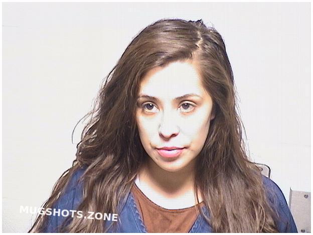 LEE DESTINEE MICHELLE 04/17/2024 - Lake County Mugshots Zone