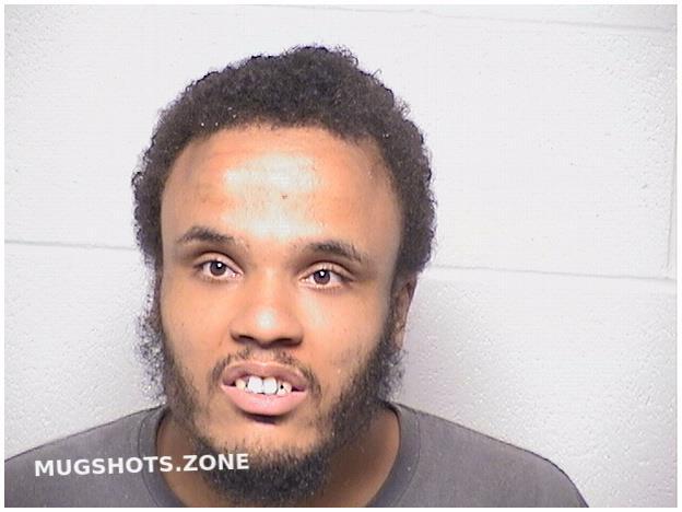 WHITE BRANDYN P 05/19/2024 - Lake County Mugshots Zone