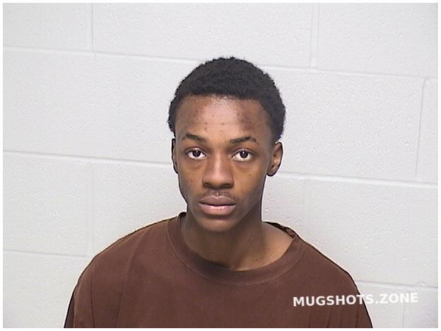 GIBSON DARRION K 06/01/2024 - Lake County Mugshots Zone